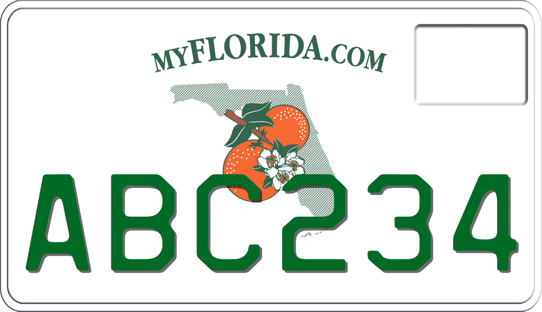 Florida Motorcycle Specialty License Plate | Florida License Plate ...