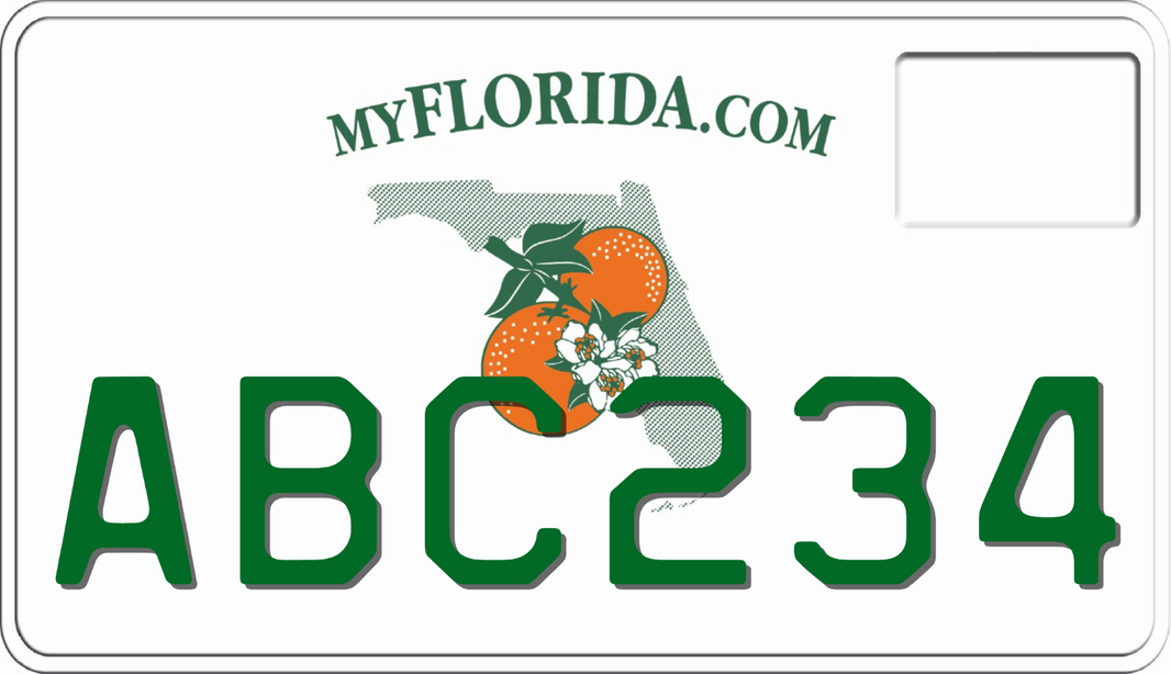 Florida Motorcycle Specialty License Plate | Florida License Plate ...