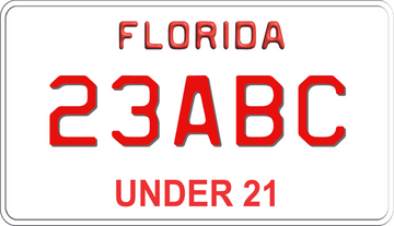 Florida Motorcycle Specialty License Plate | Florida License Plate ...