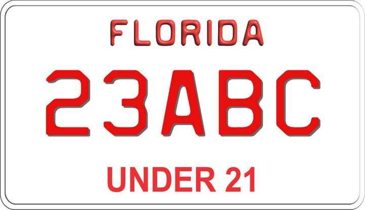 Florida Motorcycle Specialty License Plate | Florida License Plate ...